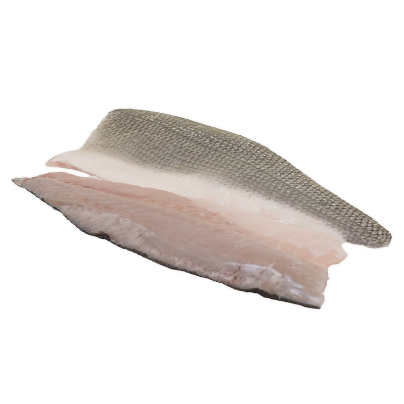 Loup de Mer, Fresh Mediterranean Bronzini | 20 Fillets – Pro & Prime Foods